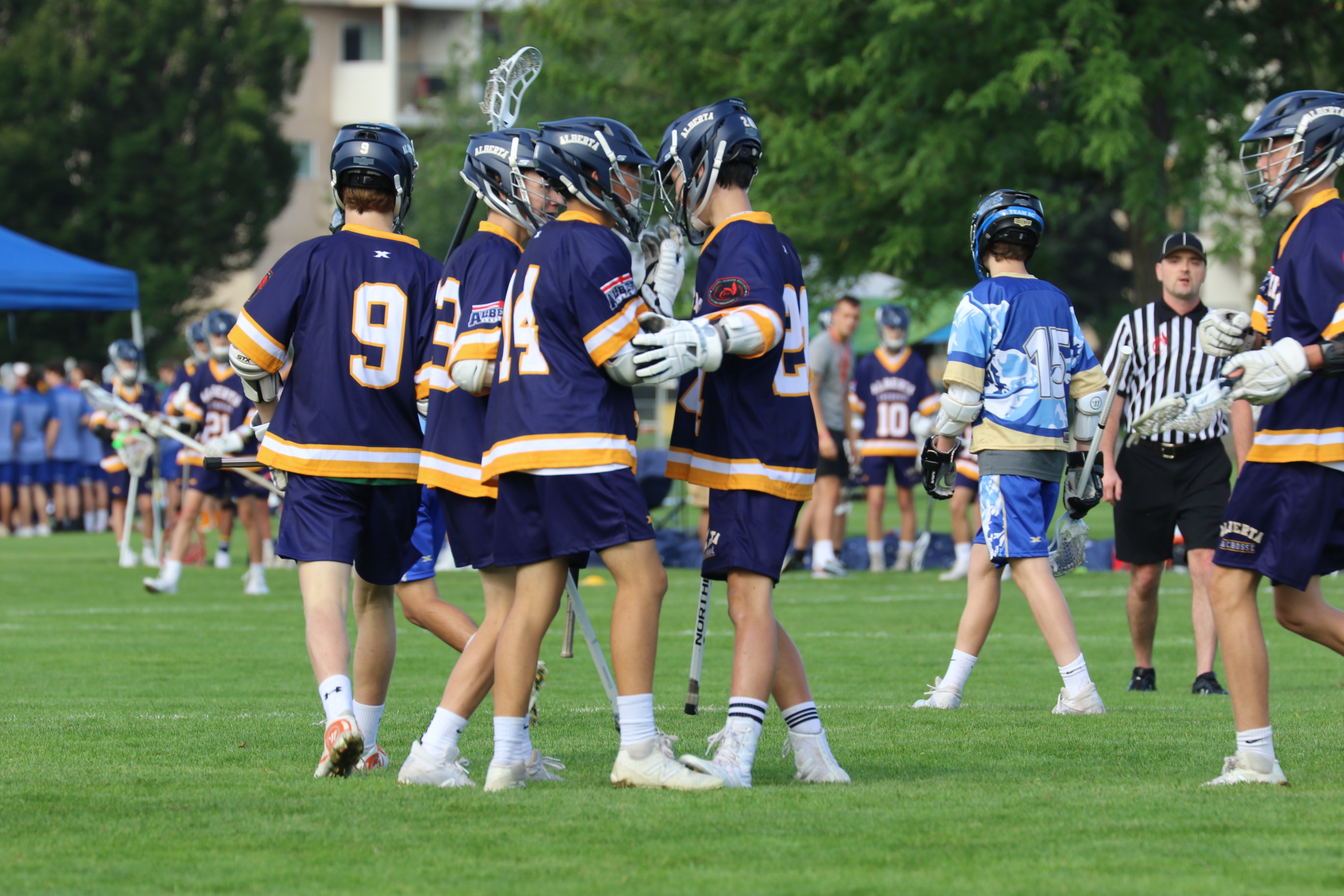 Edmonton Razorbacks Lacrosse Club : Website by RAMP InterActive